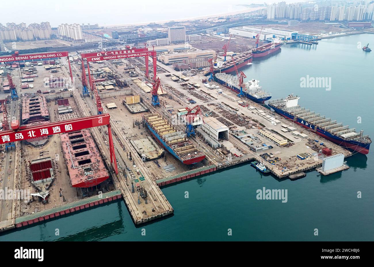 QINGDAO, CHINA - JANUARY 16, 2024 - Multiple large ships are under ...