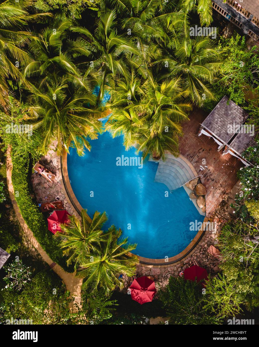 Infinity pool in forest hi-res stock photography and images - Alamy