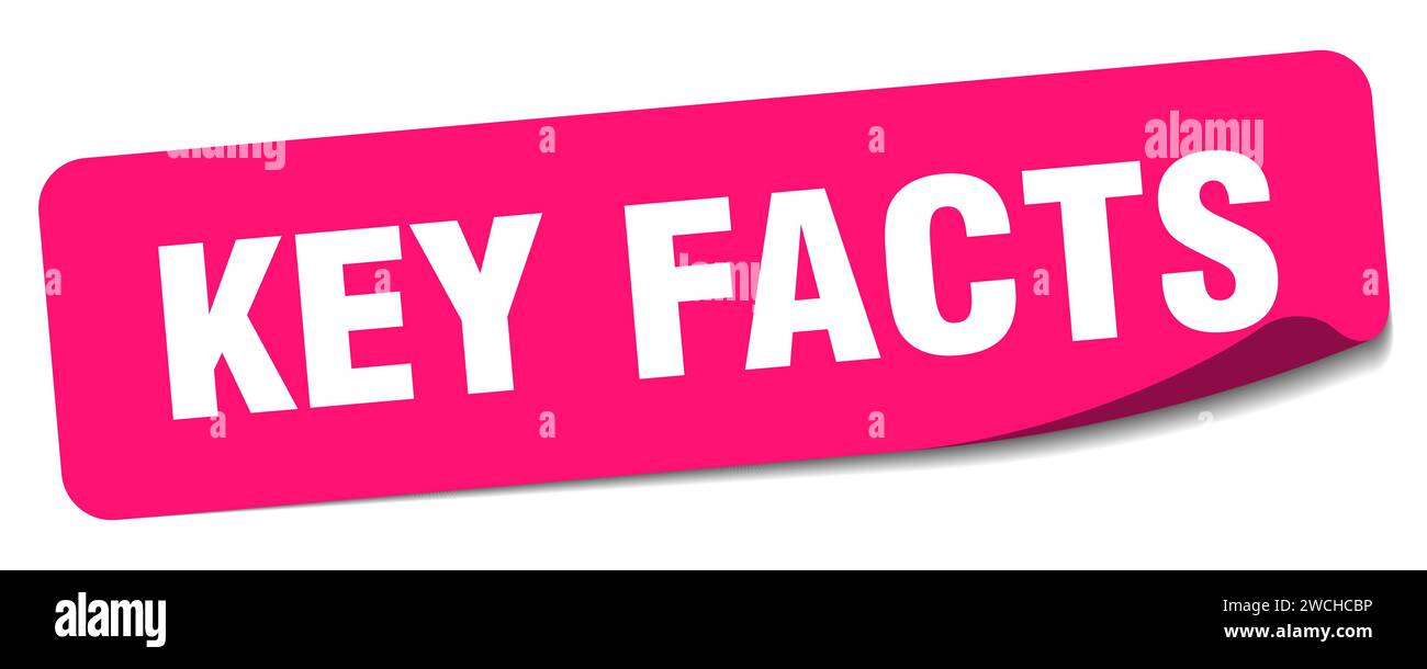 key facts sticker. key facts rectangular label isolated on white ...
