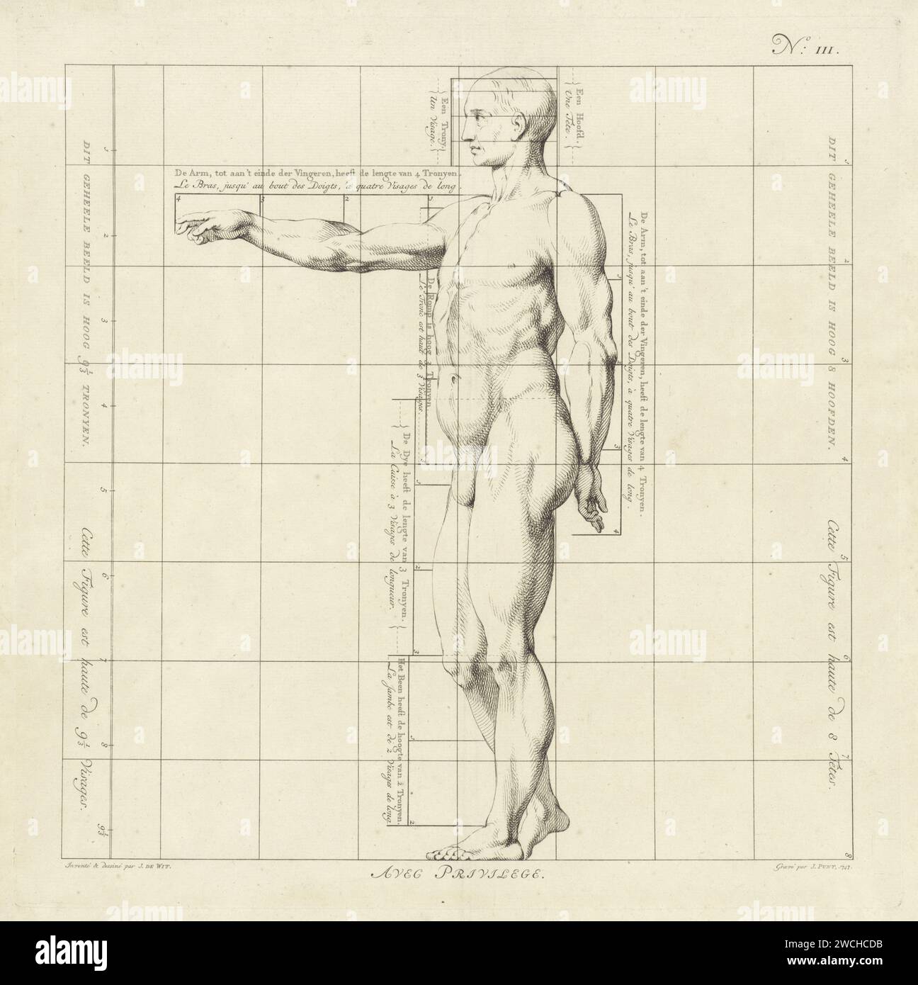 Proportion study of the body of a man, Jan Punt, After Jacob de Wit, 1747 print Side view, with ...