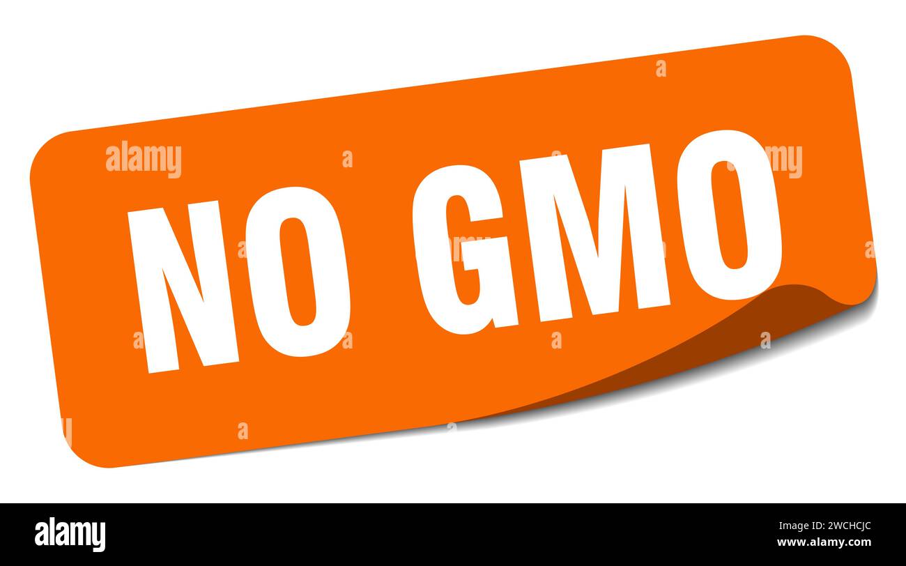 no gmo sticker. no gmo rectangular label isolated on white background Stock Vector Image & Art ...