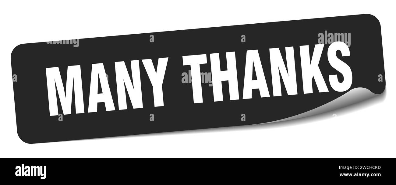 many thanks sticker. many thanks rectangular label isolated on white ...