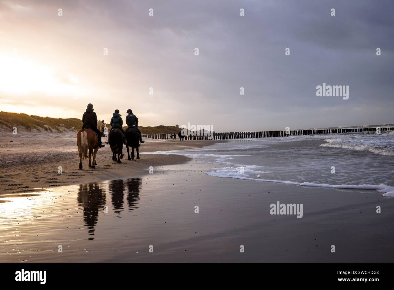rider on the beach of Oostkapelle on Walcheren, Zeeland, Netherlands. Reiter am Strand von ...