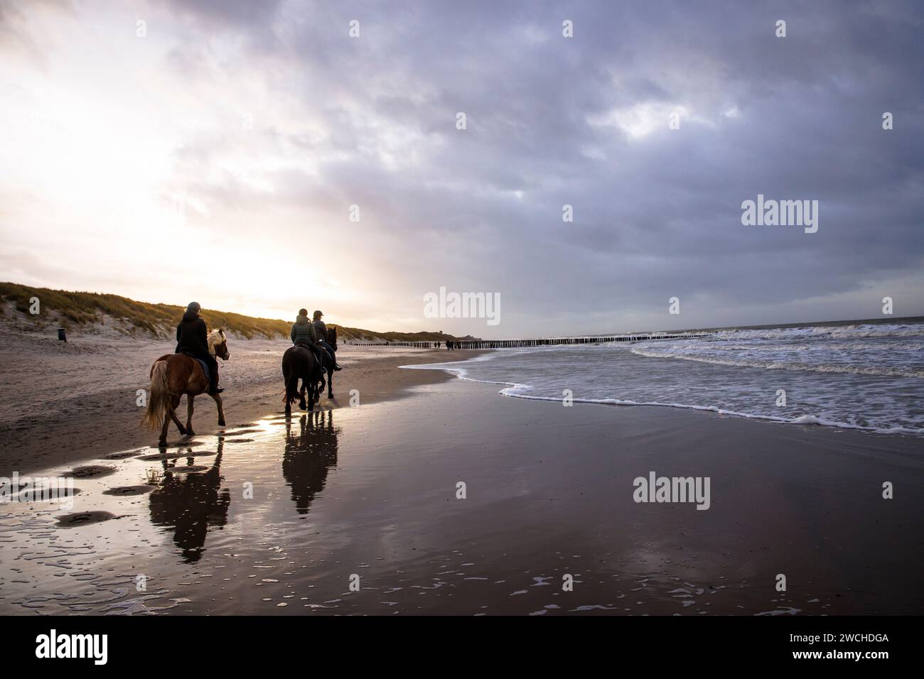 Reiten In Holland Am Strand