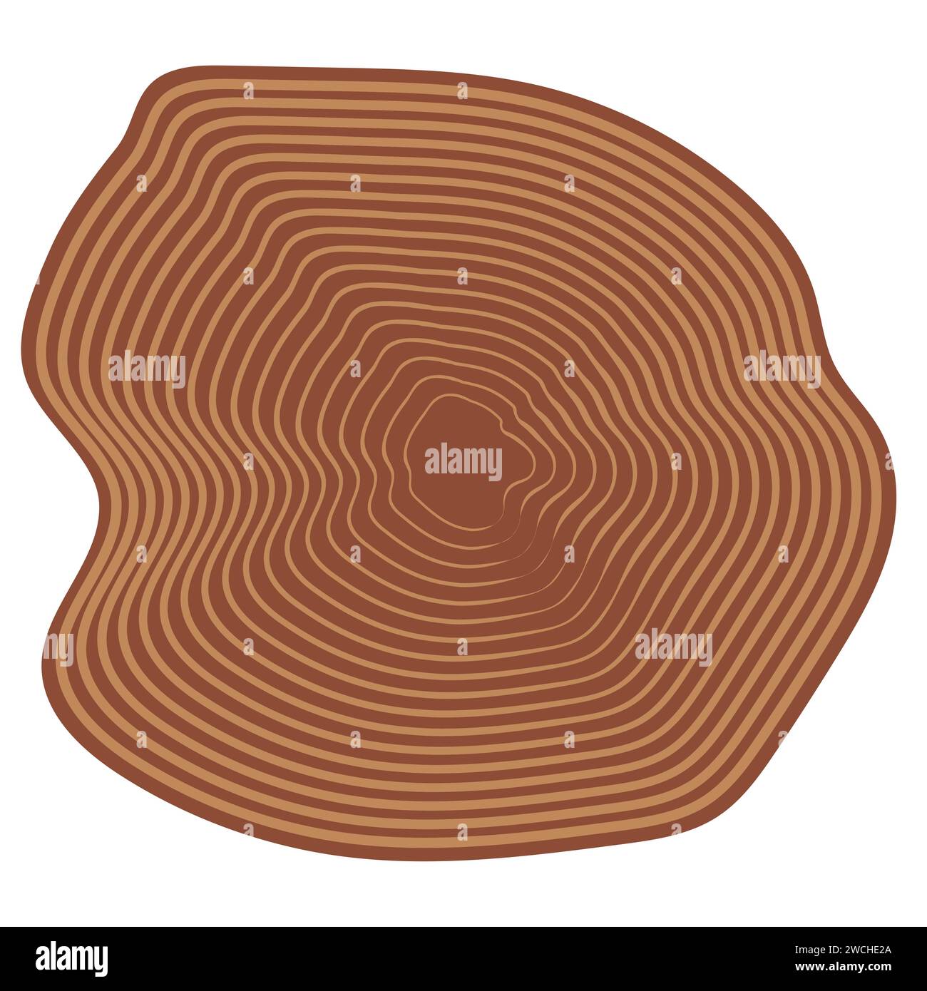 Tree rings, stump year circle tree ring trunk cut Stock Vector Image ...