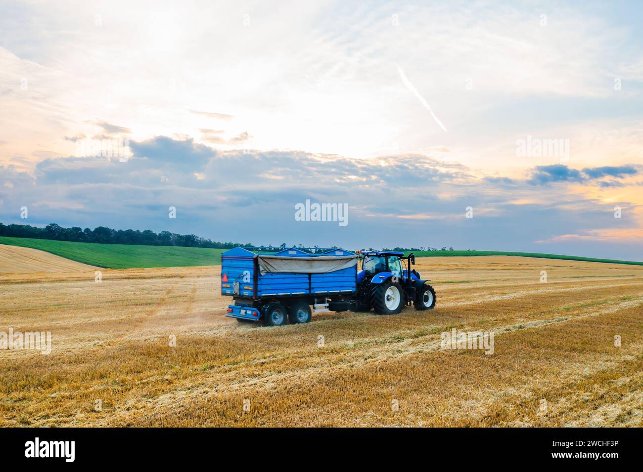 Tractor with trailer drives along reaped agricultural field aerial view ...