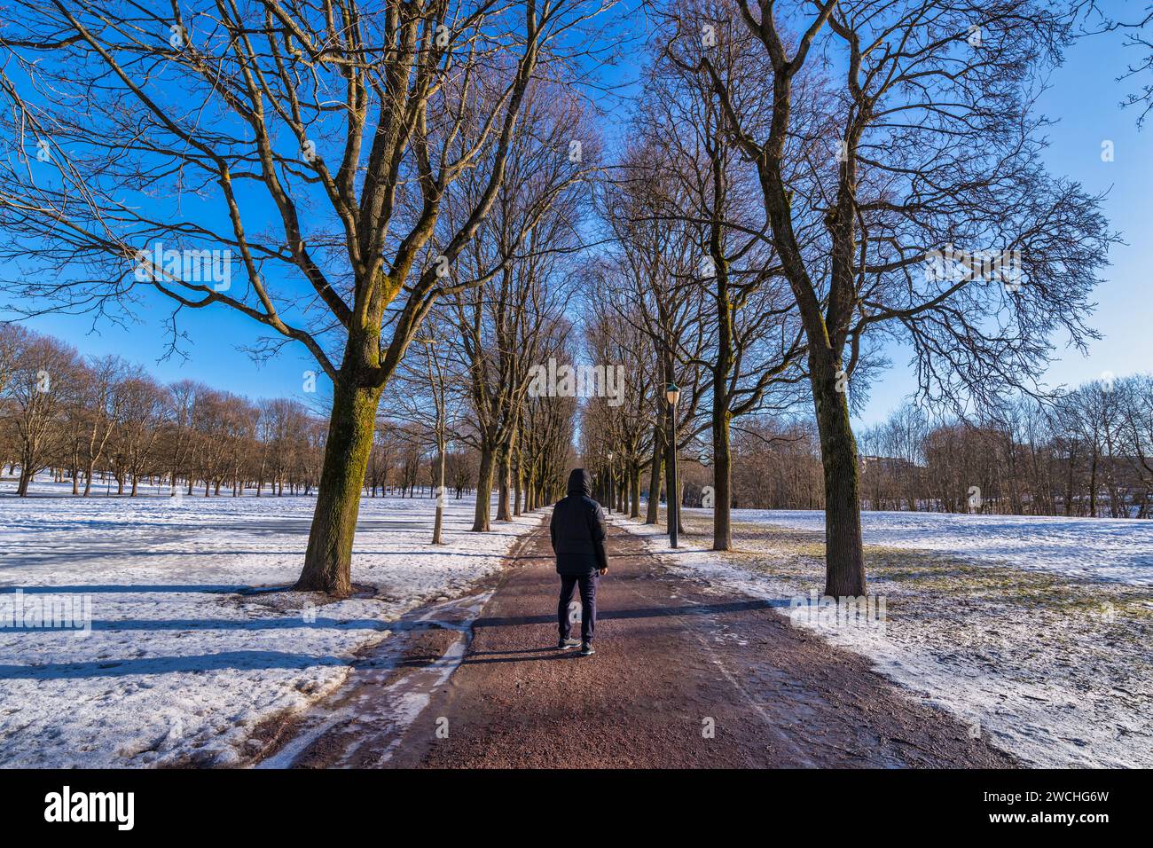 Oslo Norway, snow winter landscape at Vigeland Park with man tourist ...
