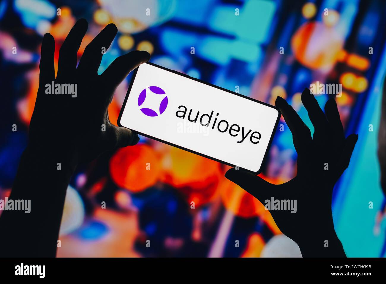 Brazil. 15th Jan, 2024. In this photo illustration, the AudioEye logo ...