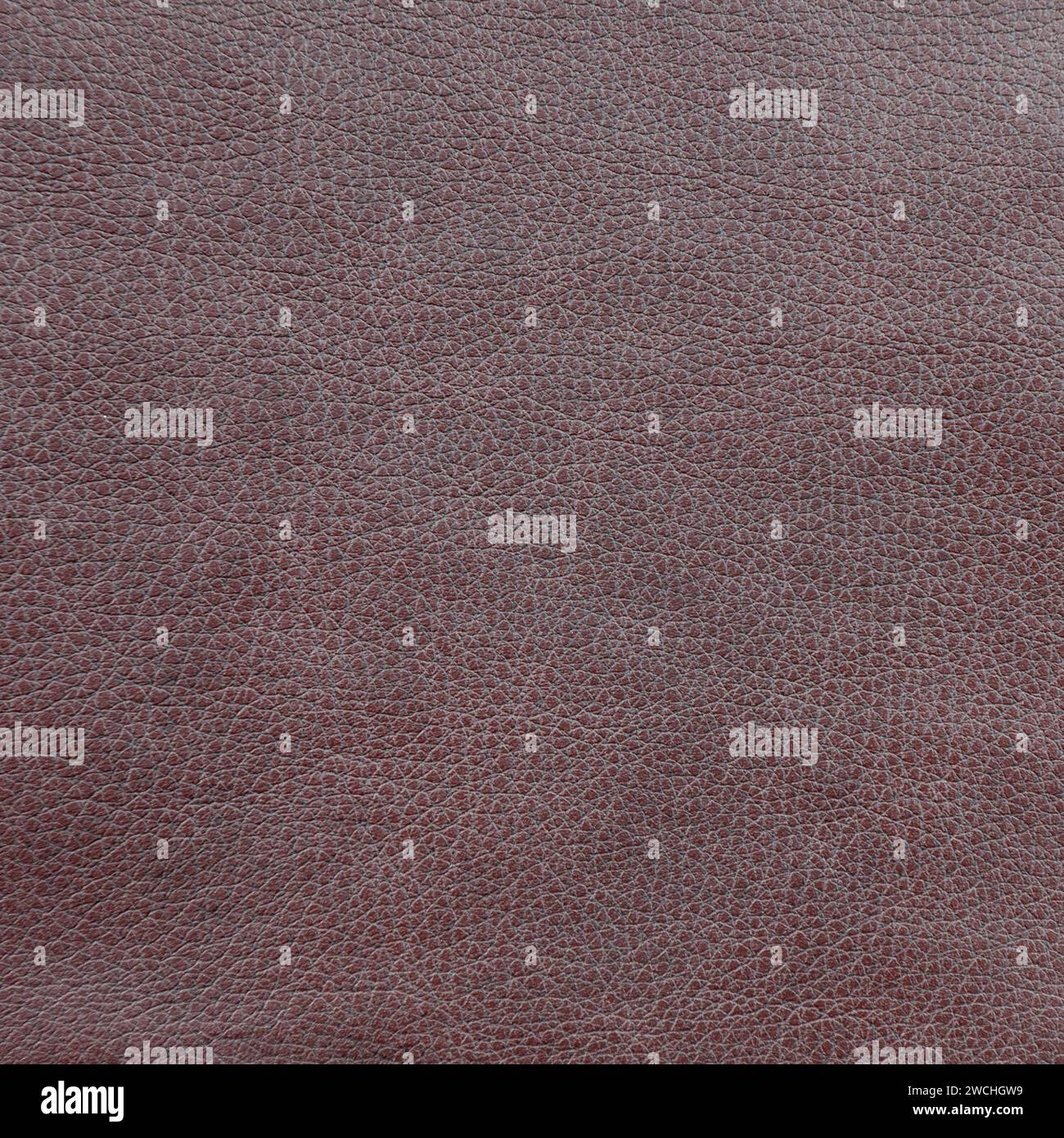 Fine leather texture hi-res stock photography and images - Alamy