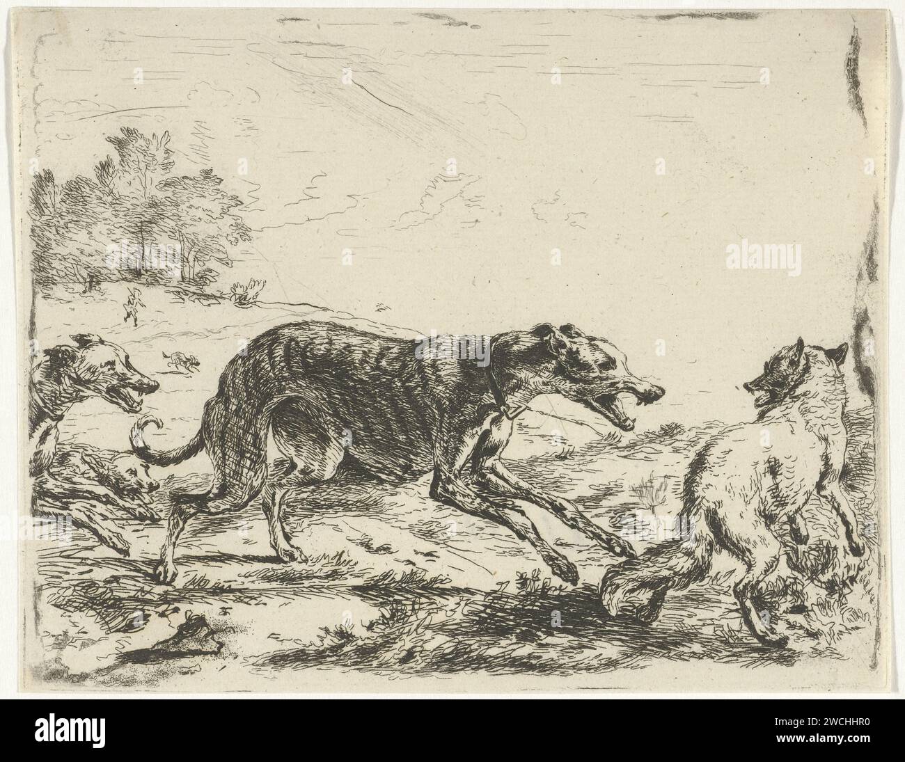 Young fox etching hi-res stock photography and images - Alamy