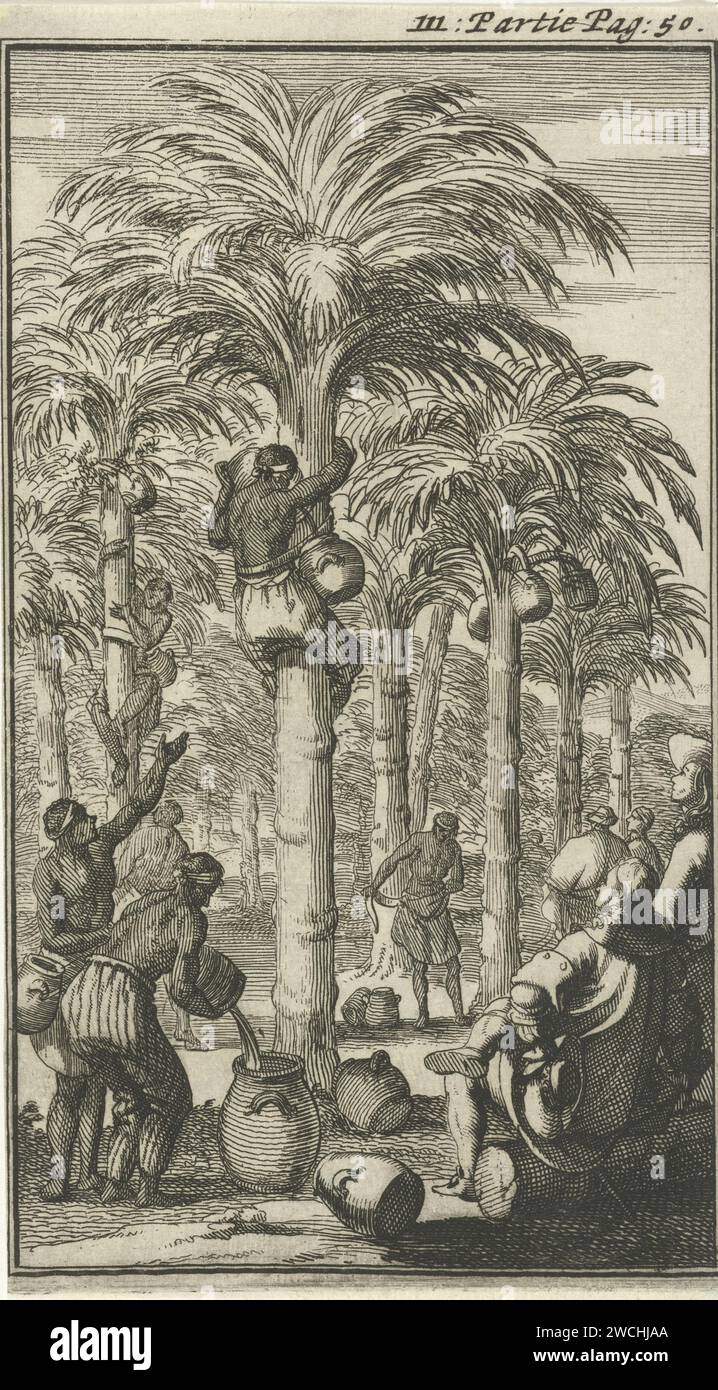 Obtain palm wine in India, Jan Luyken, 1689 print Print at the top ...