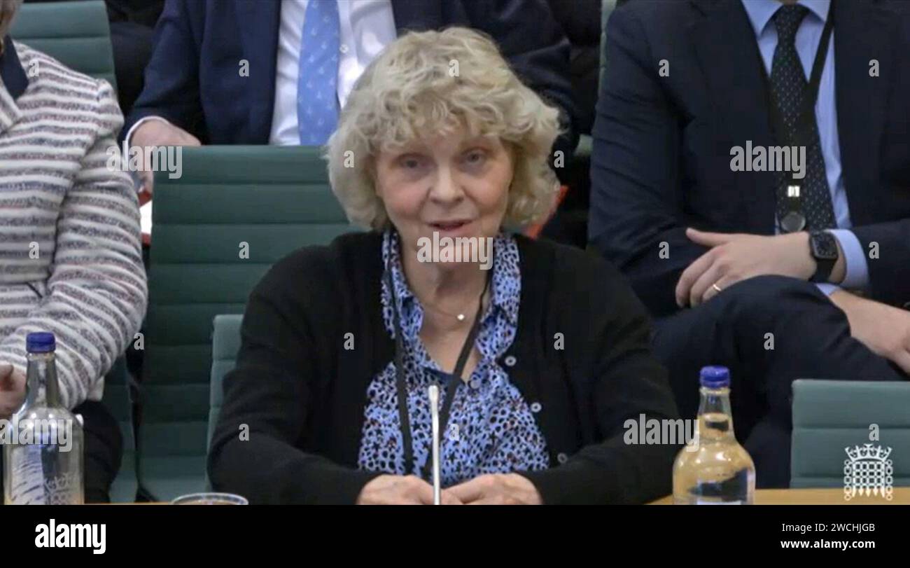 Jo Hamilton, former sub-postmistress, giving evidence to the Business ...