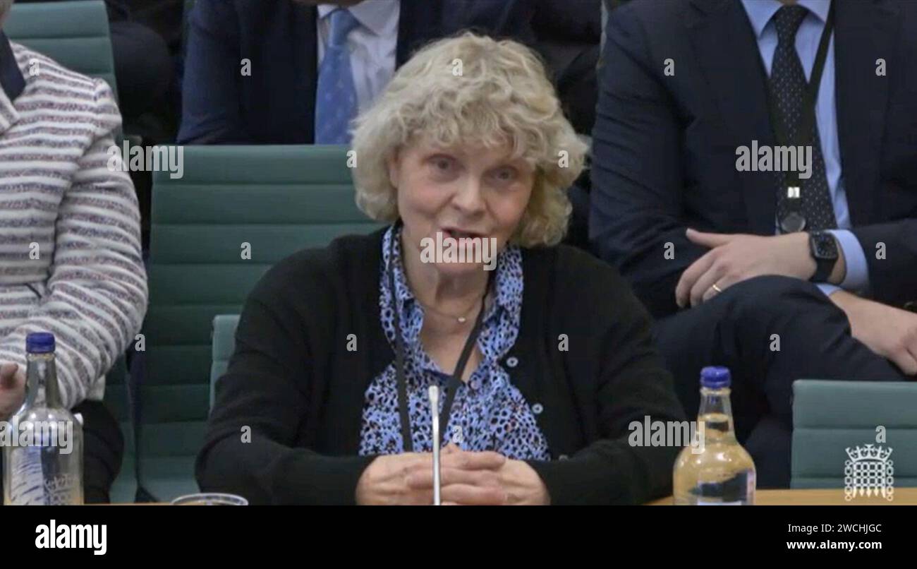 Jo Hamilton, former sub-postmistress, giving evidence to the Business ...