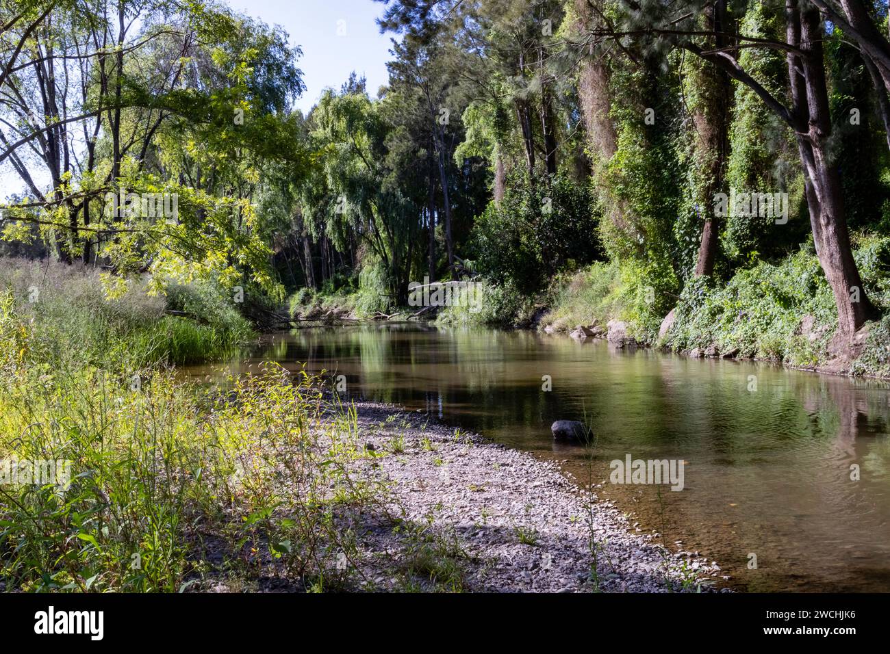 Muswellbrook hi-res stock photography and images - Alamy