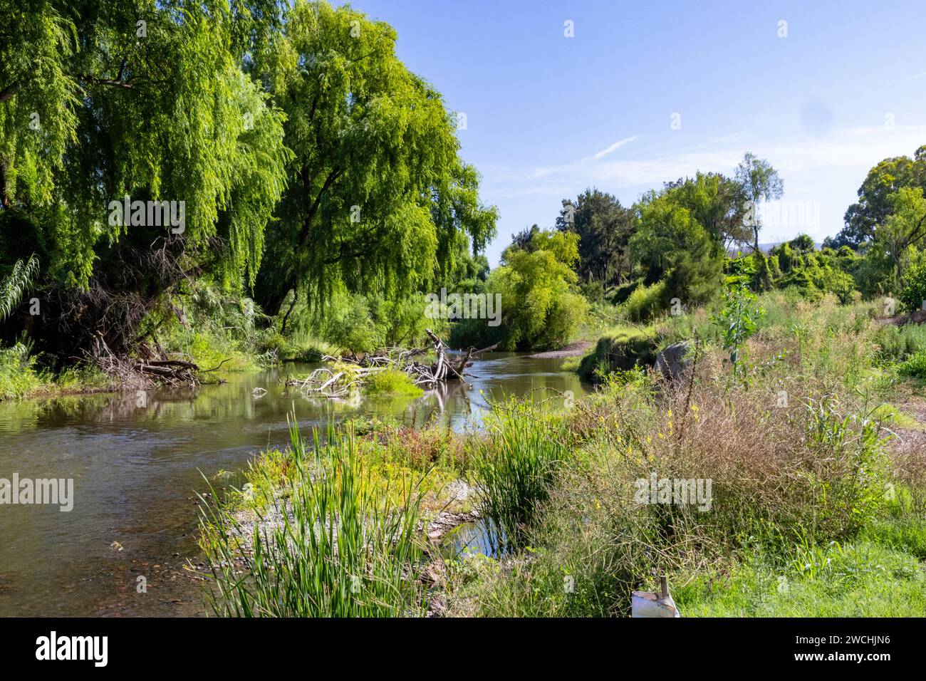 Hunter River at Muswellbrook Stock Photo - Alamy