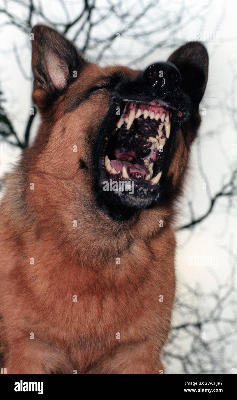 Dynamic attacker hi-res stock photography and images - Alamy