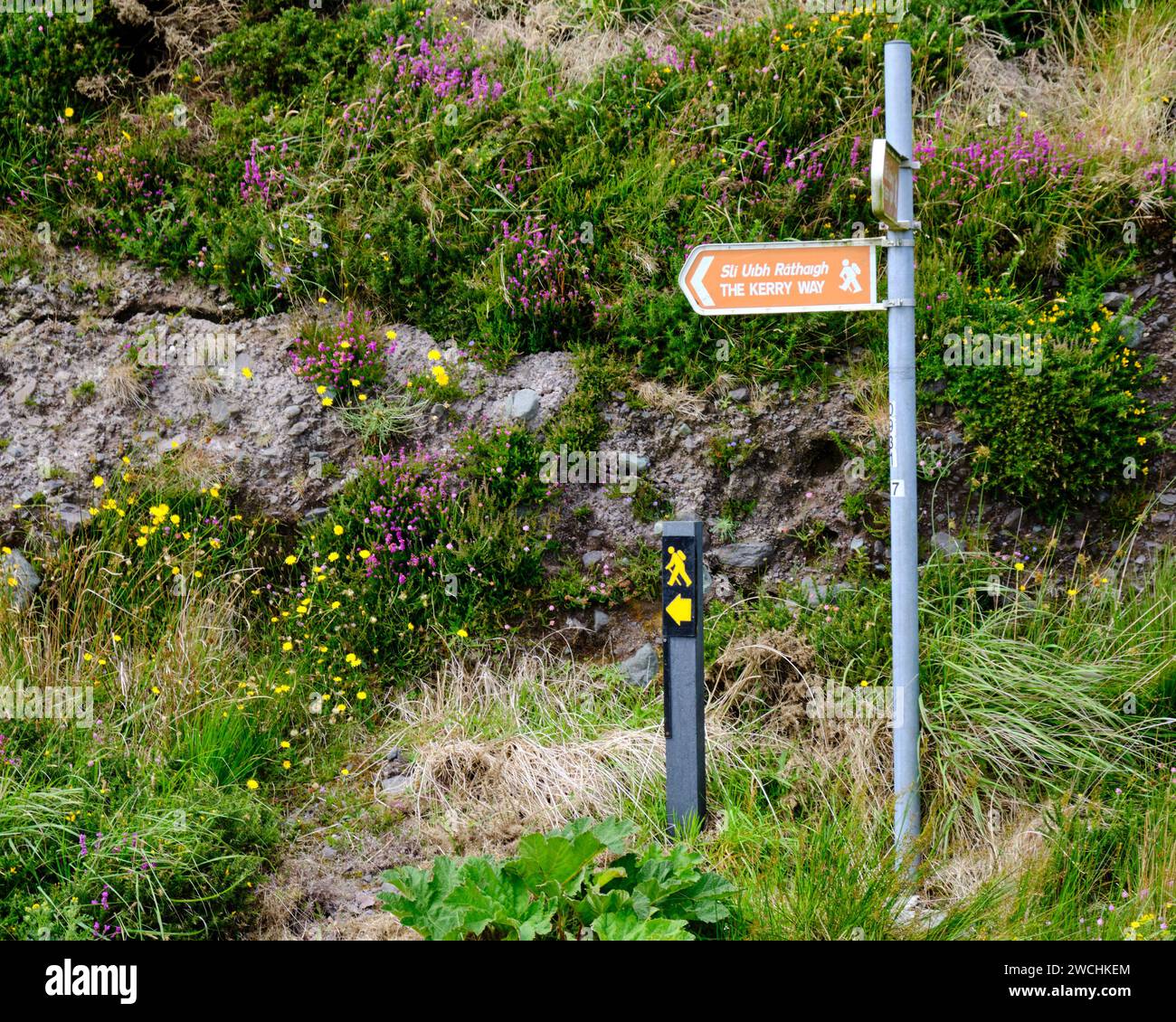 Kerry trail indication sign pointing hikers in Irish countryside Stock ...