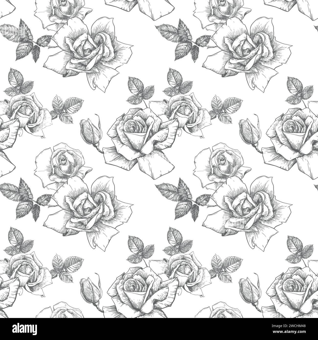 Vintage roses, floral engraving. Victorian style plants, ink drawing ...