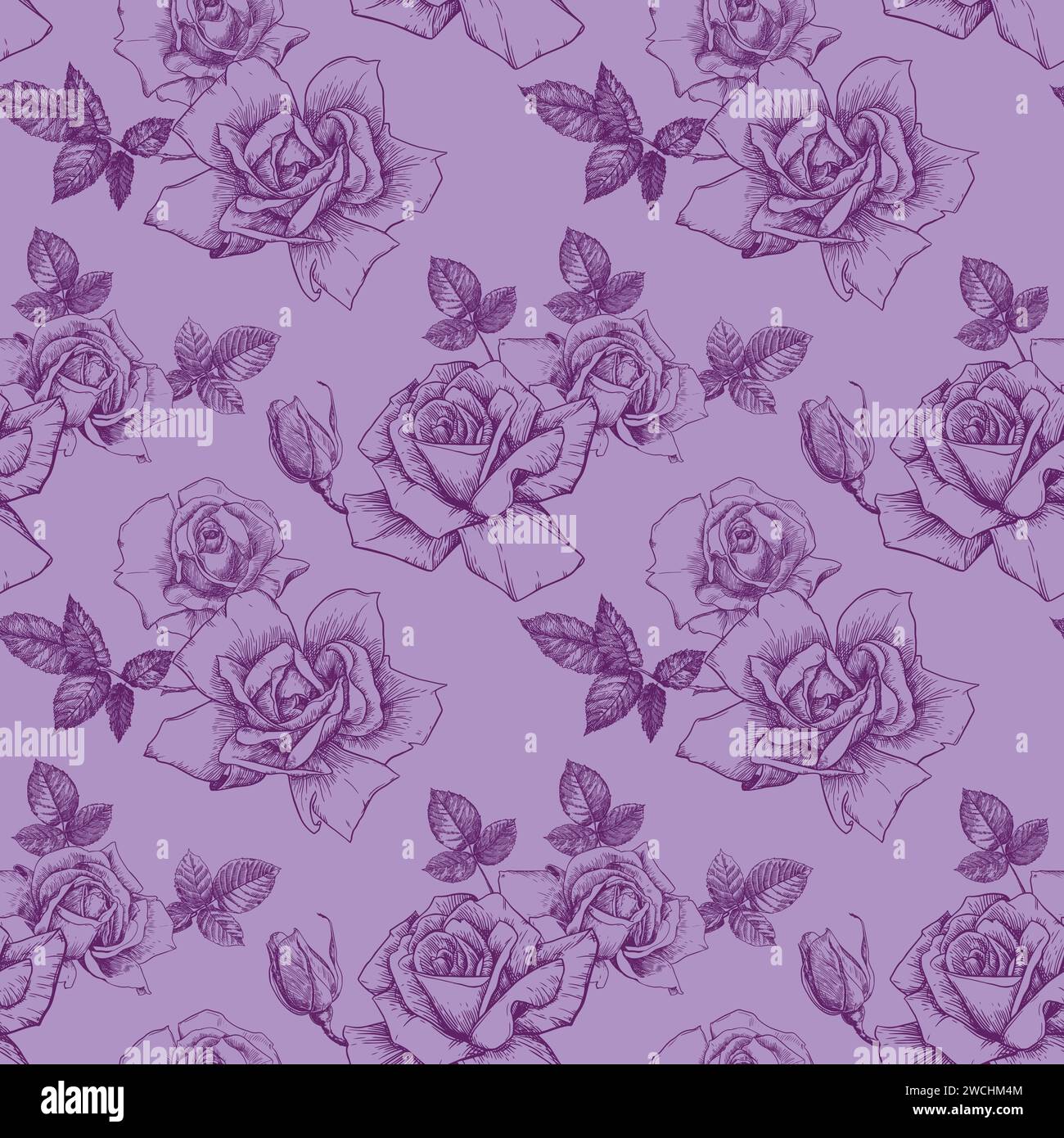 Vintage roses, floral engraving. Victorian style plants, ink drawing ...