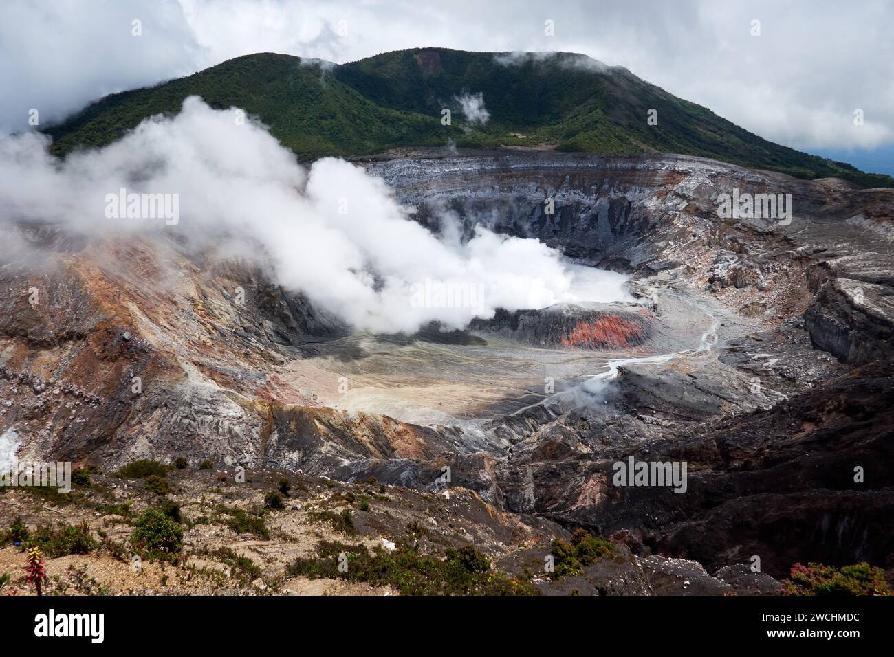 Poas Volcano National Park, main crater with steam Stock Photo - Alamy