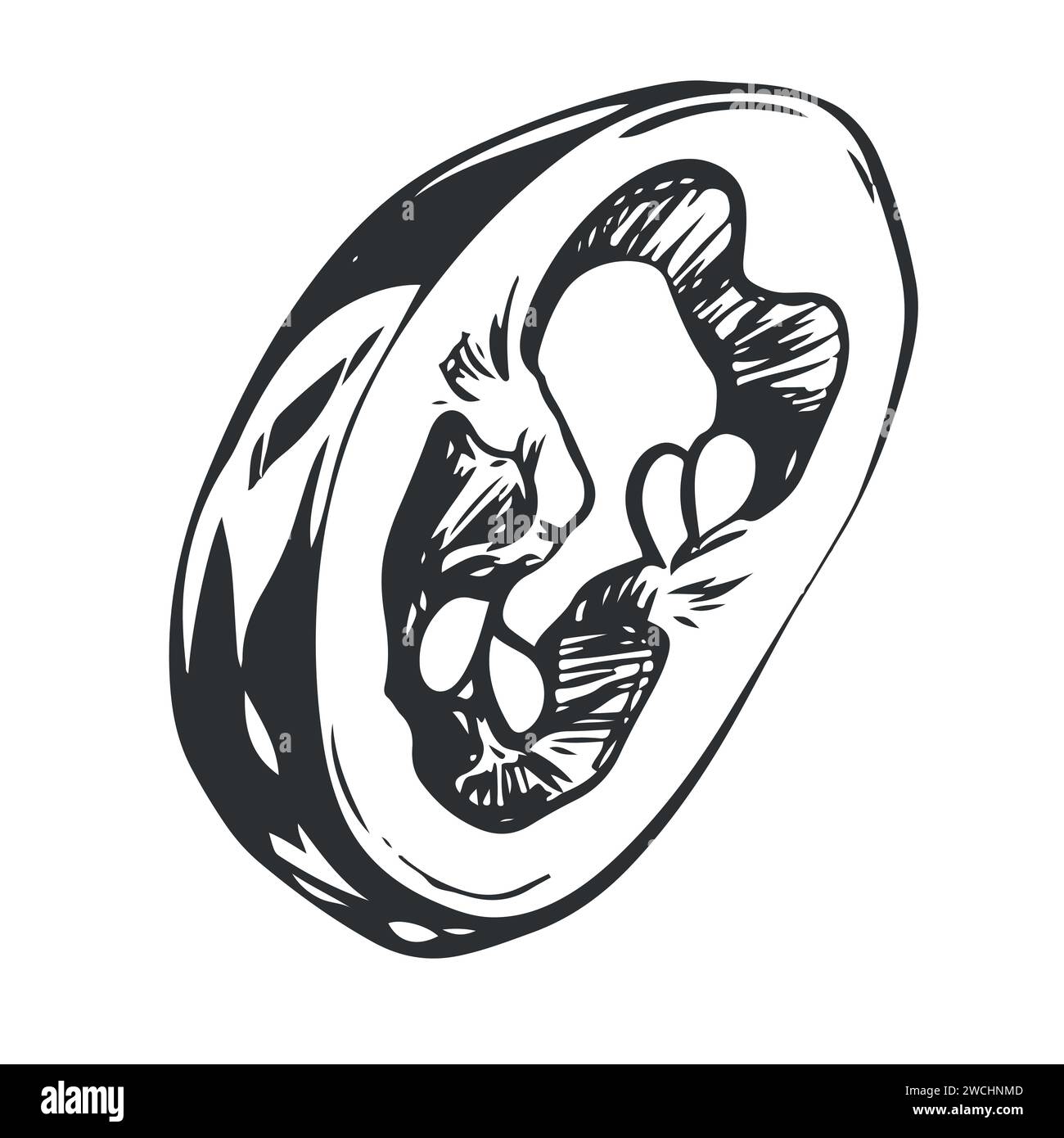 A piece of chili pepper. Vector illustration of cayenne pepper. A piece ...