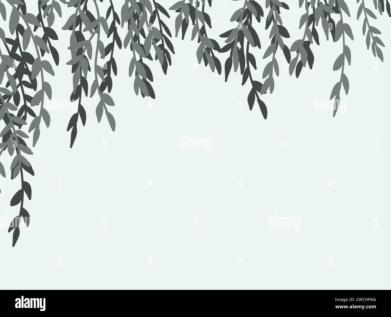 Green willow tree branches frame isolated on white background. Corner ...