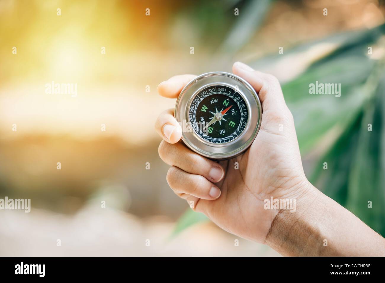 Hiker searches for direction in the forest holding a compass to ...