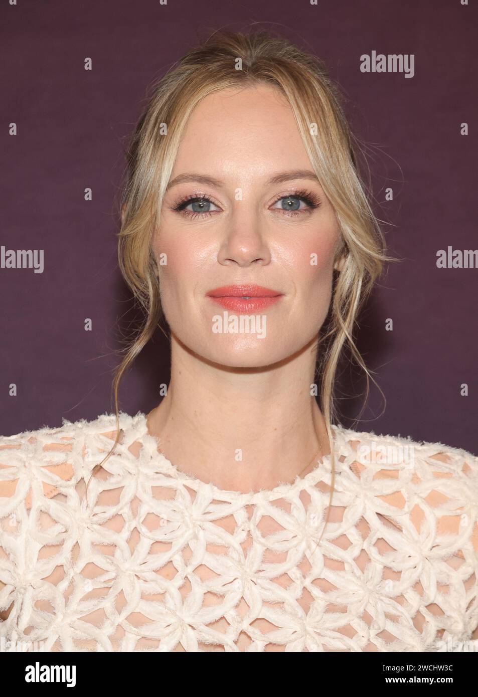 Los Angeles, Ca. 15th Jan, 2024. Danielle Savre at The Walt Disney Company 2024 Emmy Party at ...