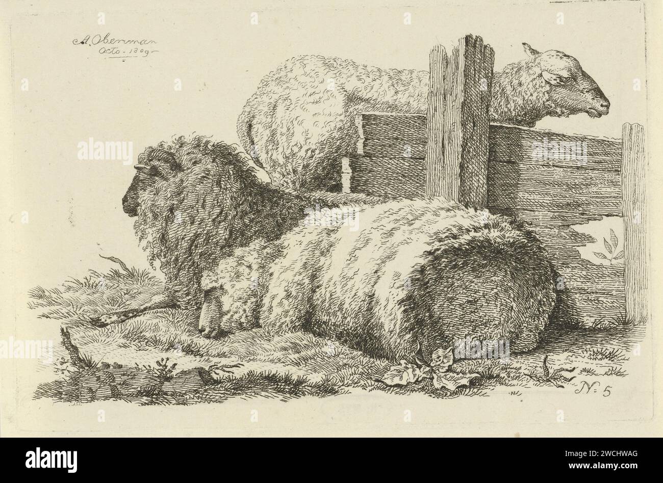 Lying Schaap en Ram, Anthony Oberman, 1809 print Amsterdam paper ...