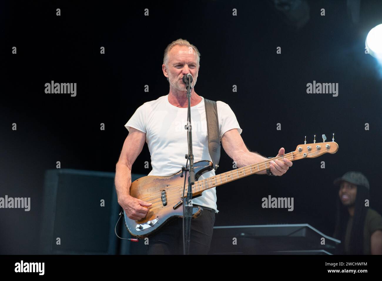Sting singer hi-res stock photography and images - Alamy