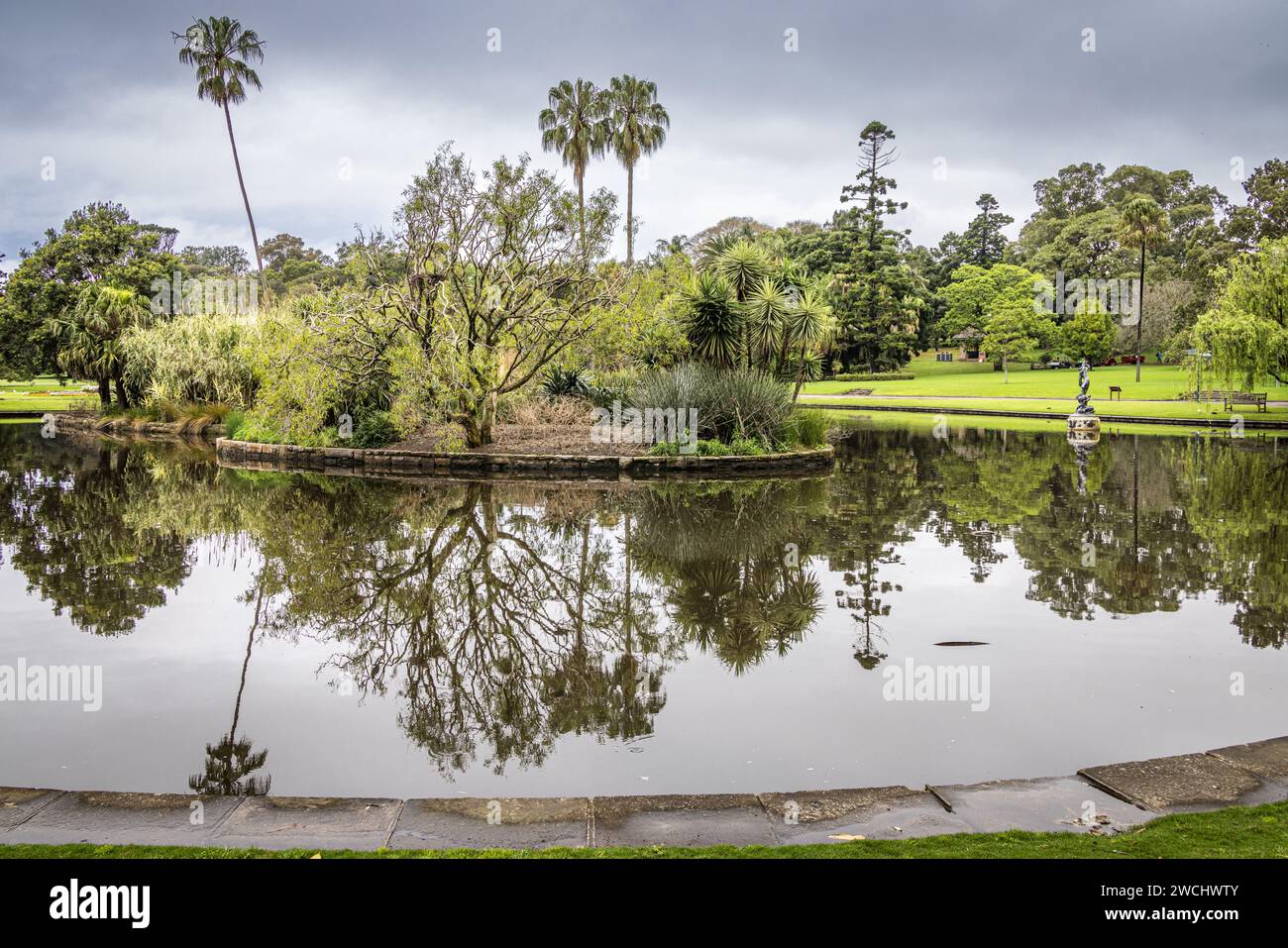 Trees and reflections in the water, Royal Botanic Gardens, Sydney ...