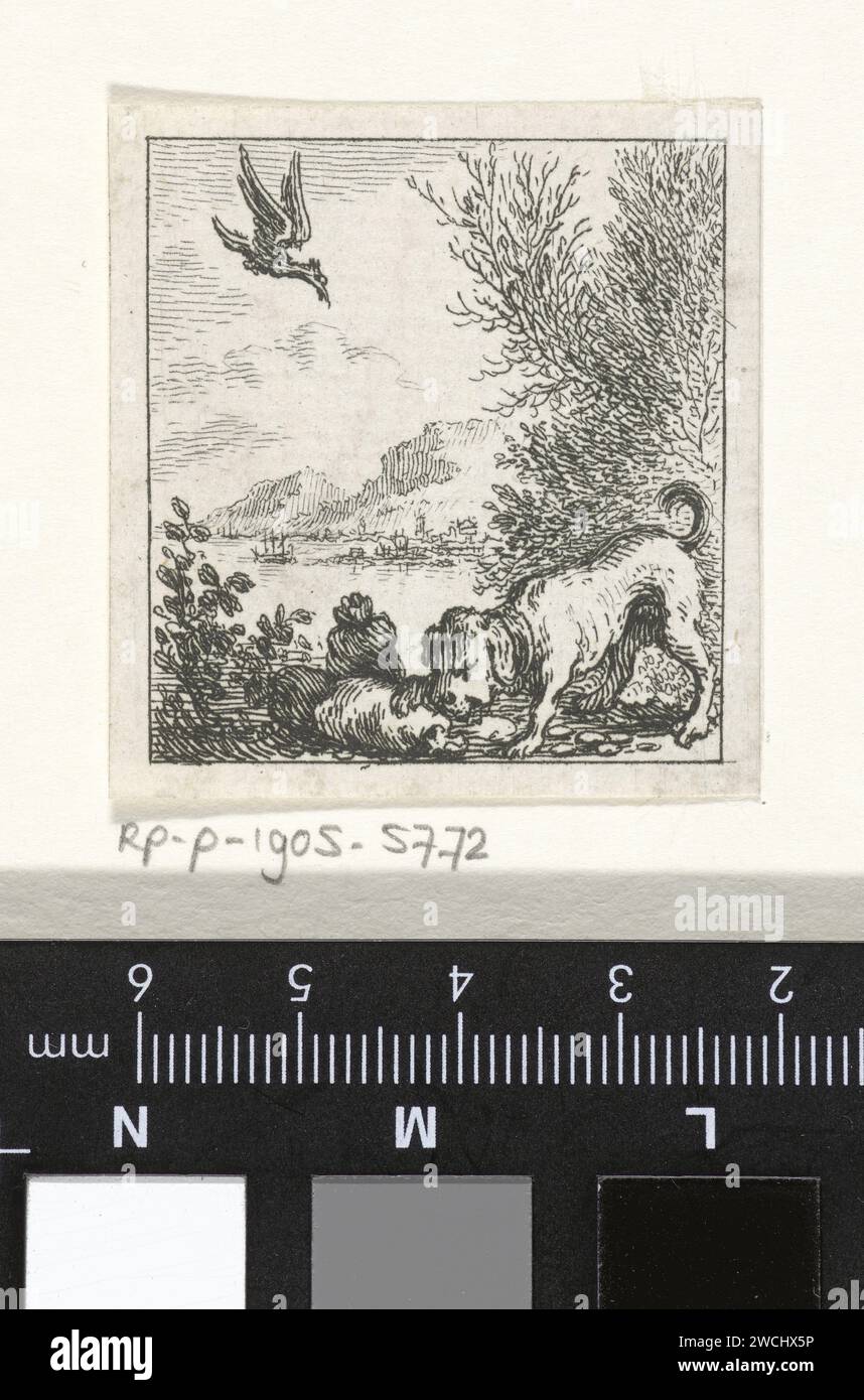 Fable of the Hond and De Gier, Simon Fokke, 1769 print A eating dog is ...