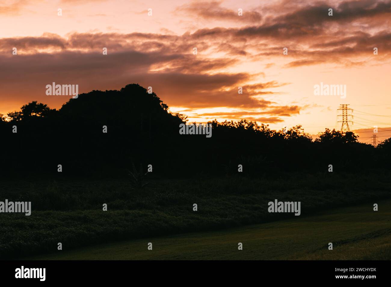 Morning Sunrise sky with trees silhouette landscape during golden hour ...