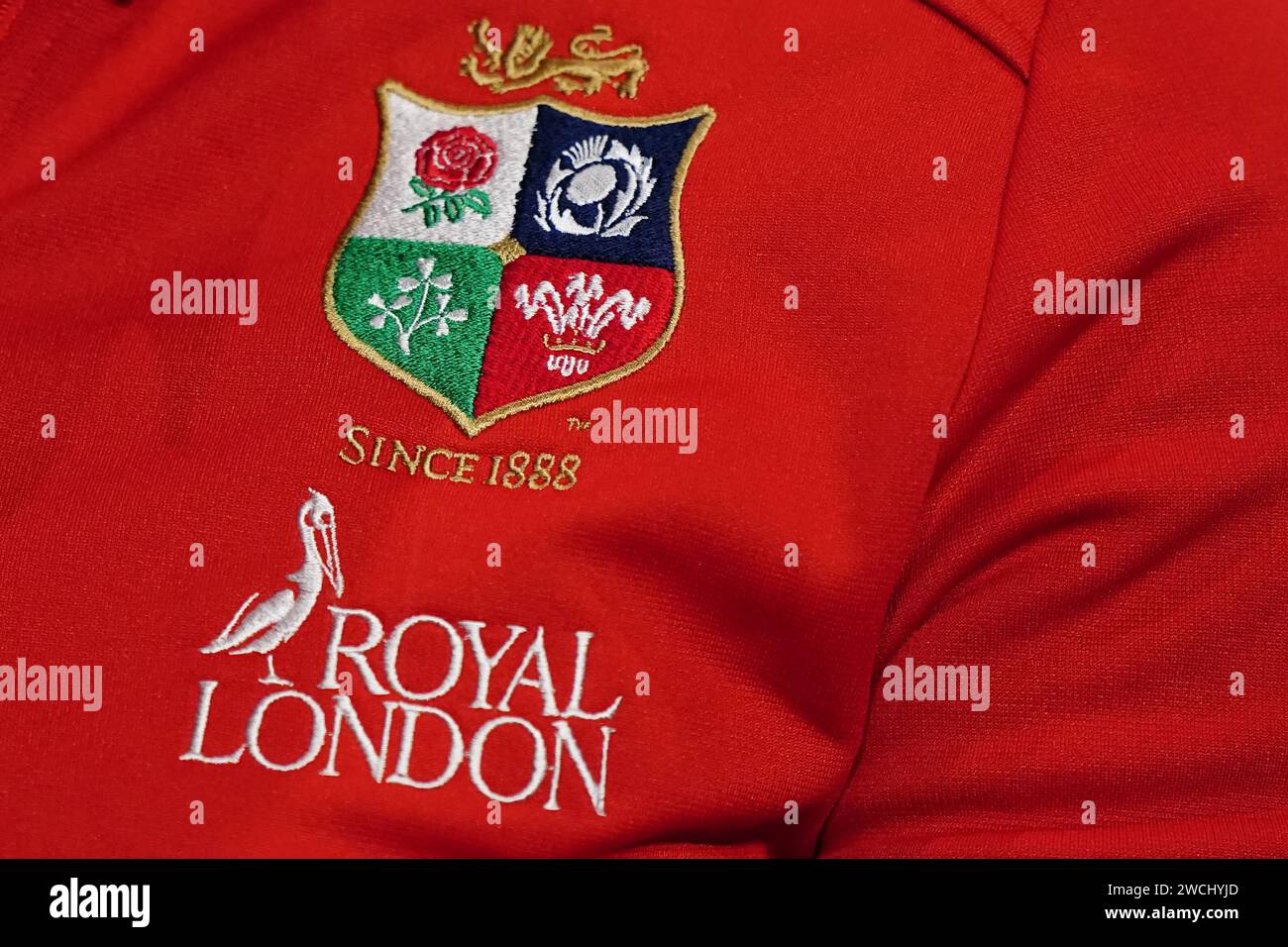 A general view of the British and Irish Lions badge during a press ...