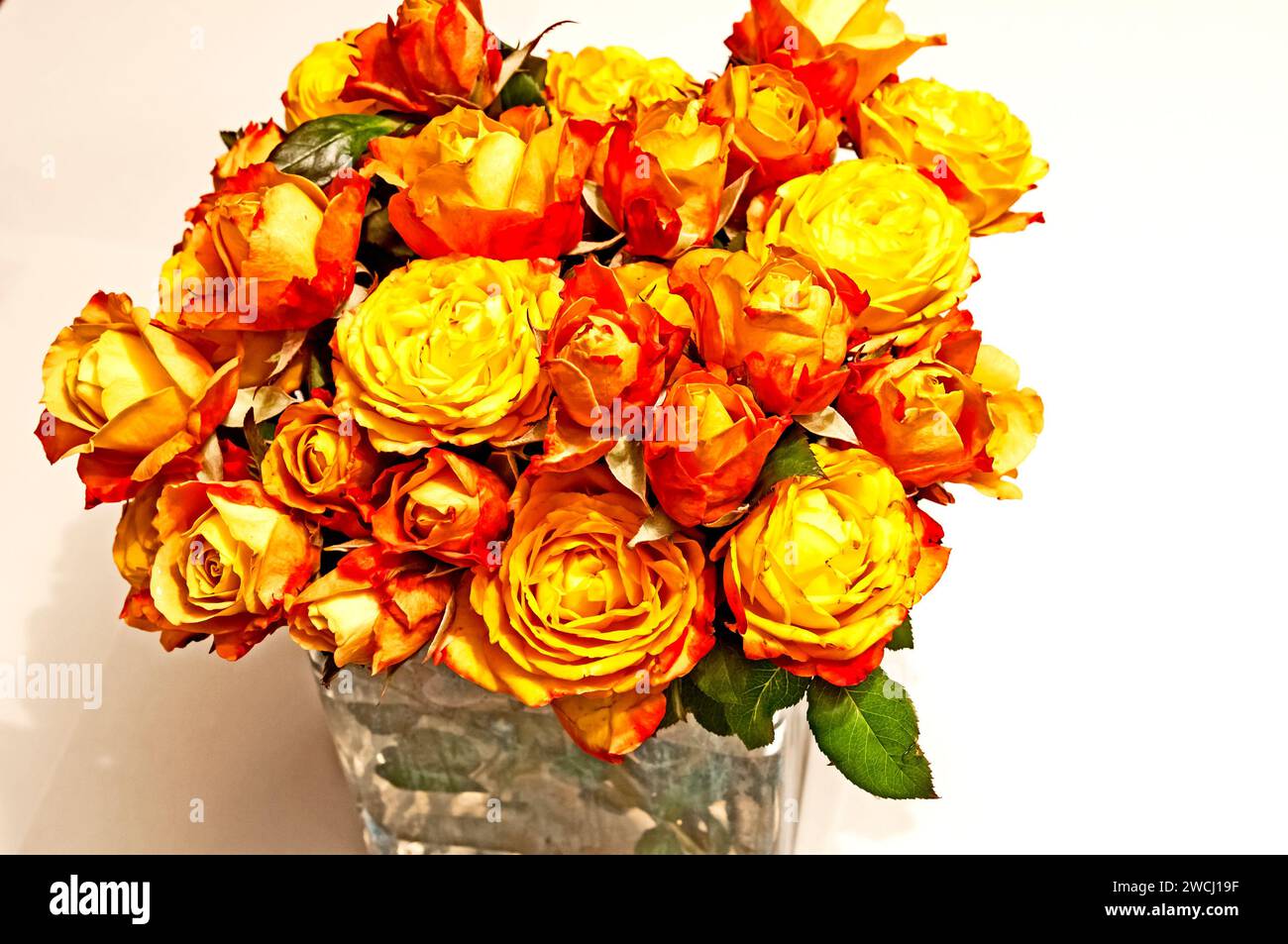 Rosenstrauss hi-res stock photography and images - Alamy