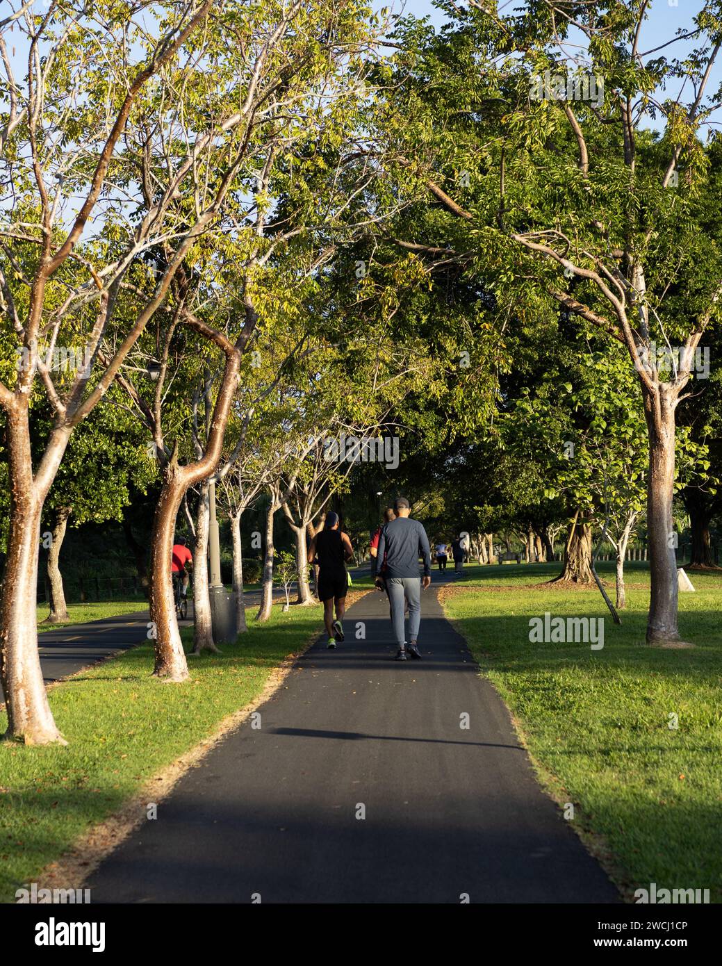 Puerto rican people rural hi-res stock photography and images - Alamy