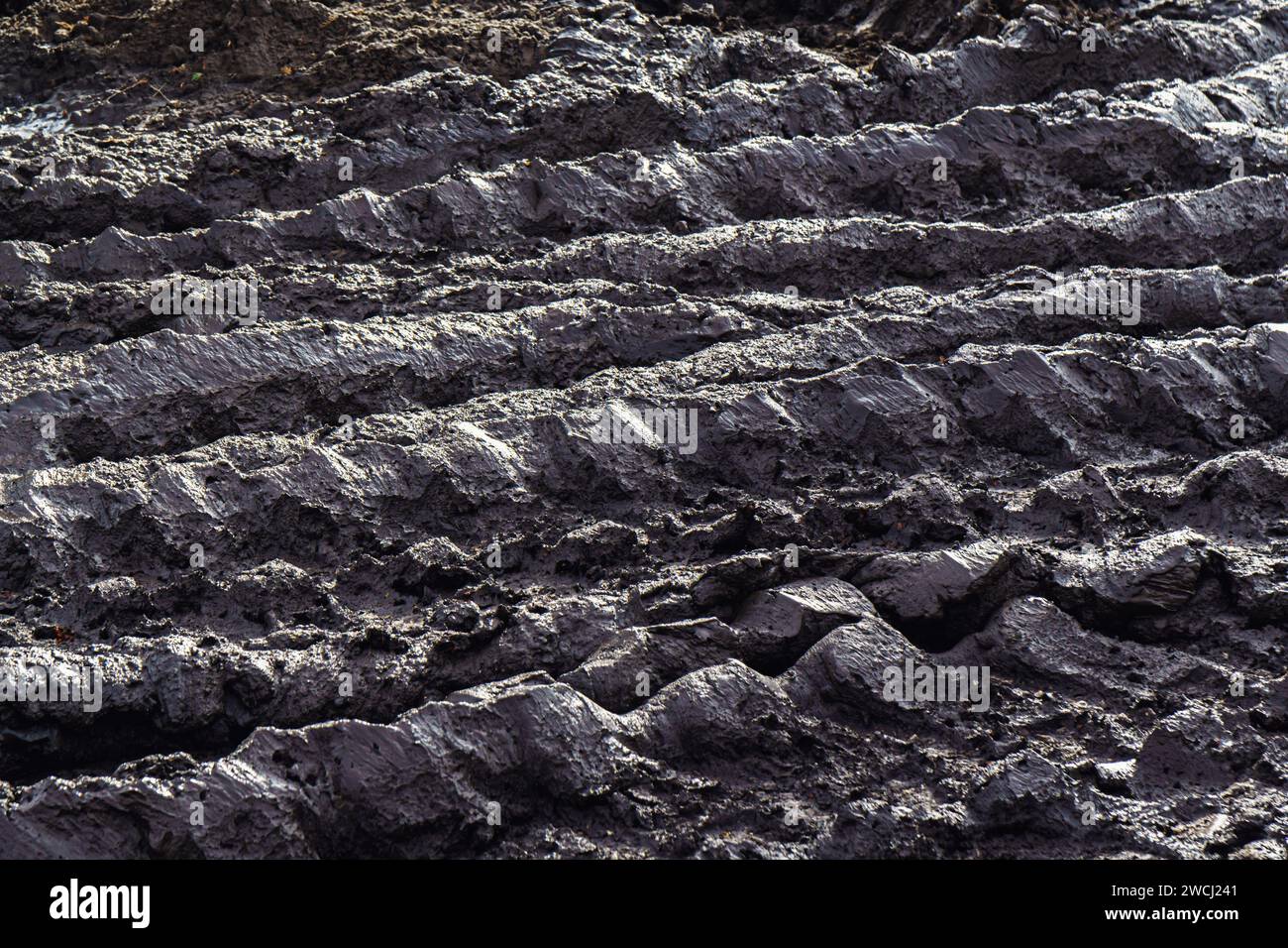 Thick layer of dirt with traces of wheel tread Stock Photo - Alamy