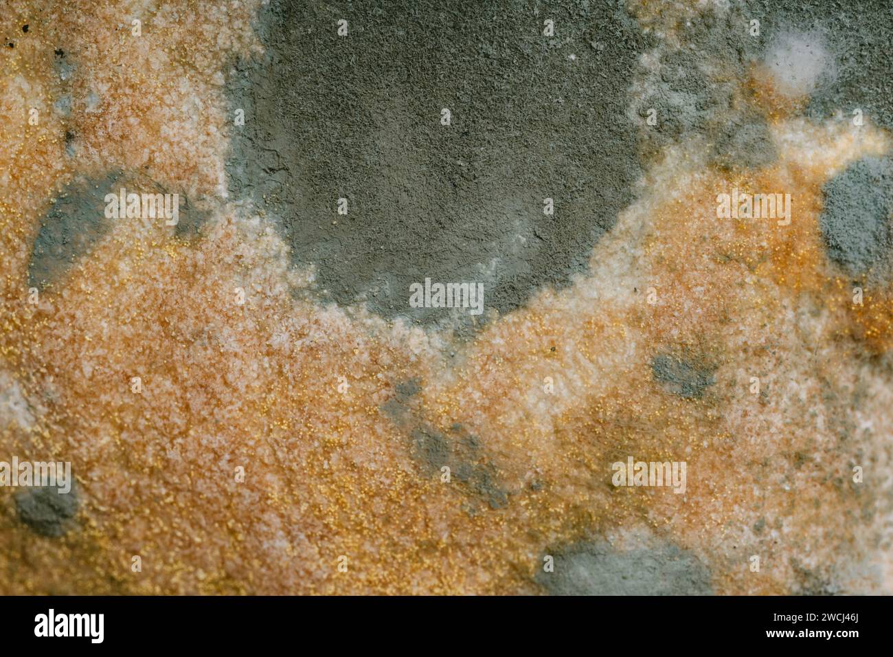 spoiled moldy old bread with the types of spores of the fungus closeup ...