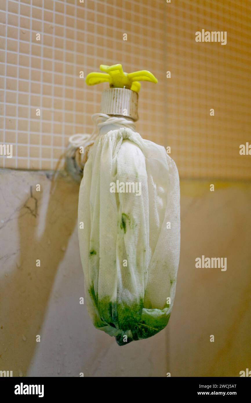Plastic faucet with moss on white cloth Stock Photo - Alamy