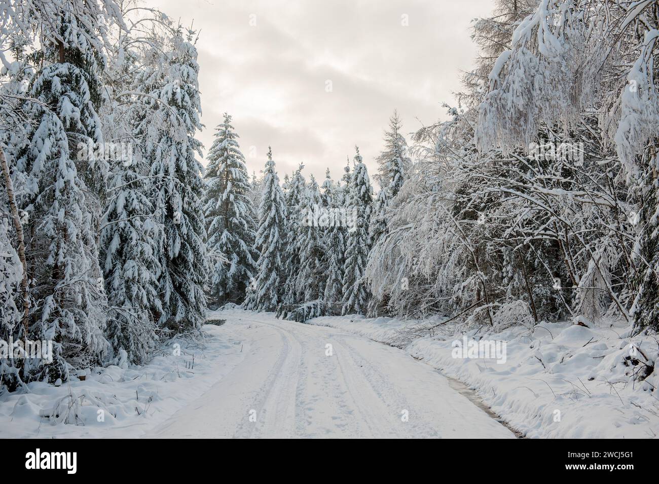 Snow Landscape in Bavaria, Germany Stock Photo - Alamy