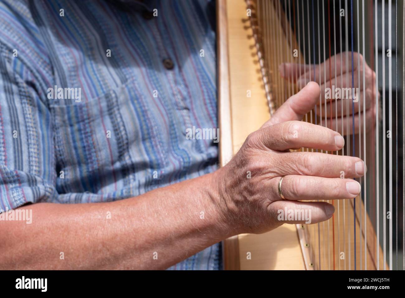 Musician in striped shirt playing hi-res stock photography and images ...