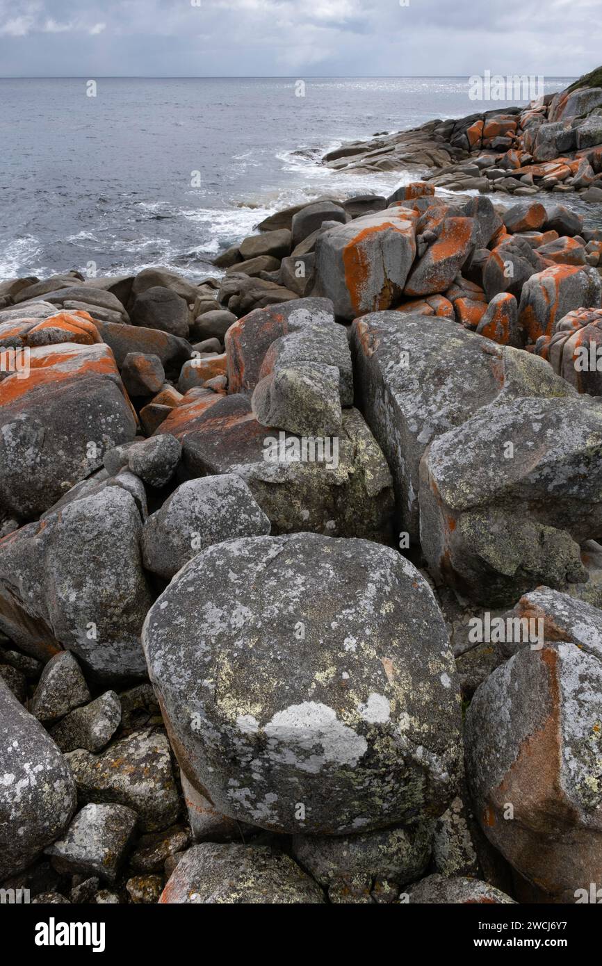 Orange-hued granite rocks in the Bay of Fires on the northeastern coast ...