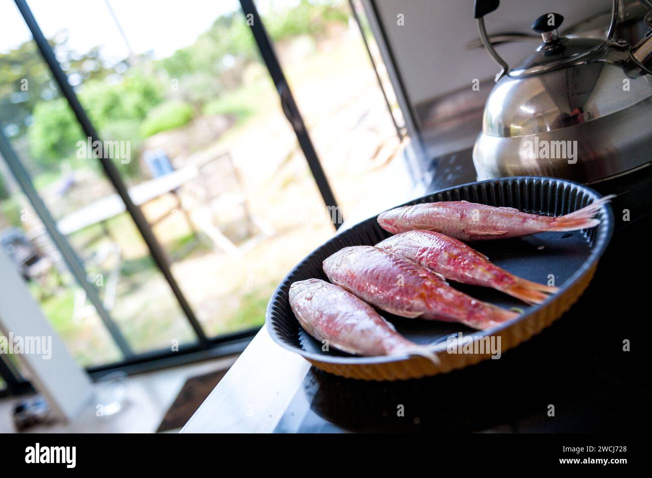 Redfish grill hi-res stock photography and images - Alamy