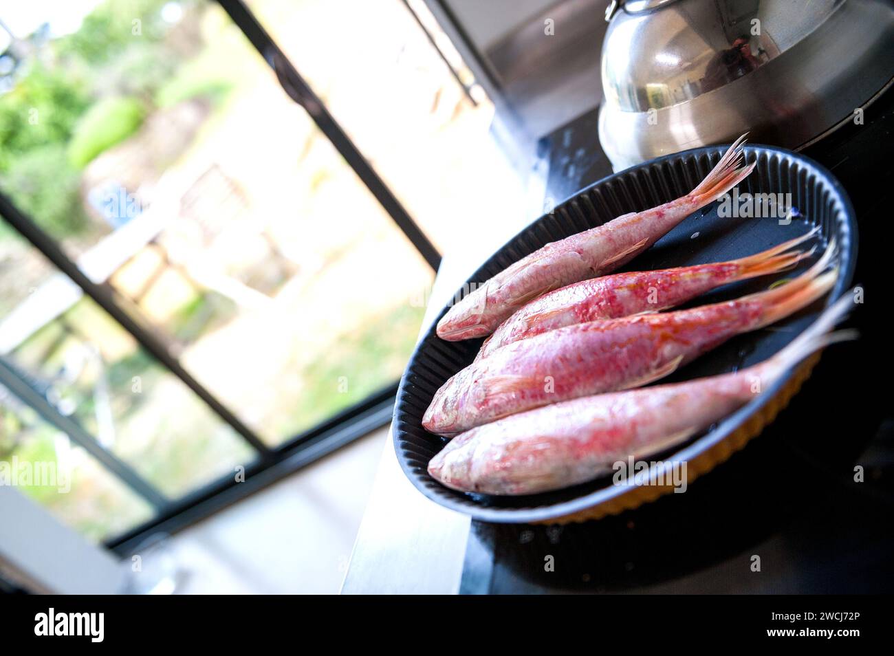Redfish prepared ready to grill Stock Photo - Alamy