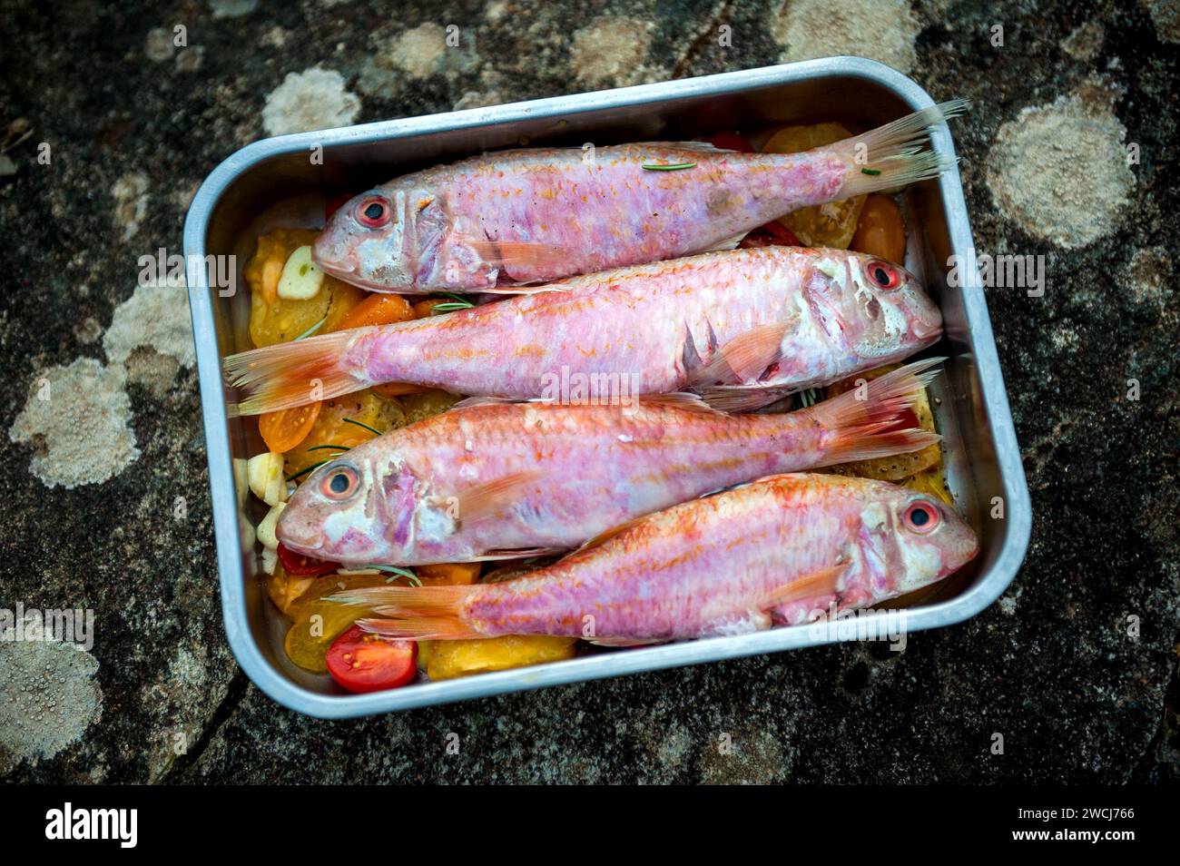 Redfish dish hi-res stock photography and images - Alamy