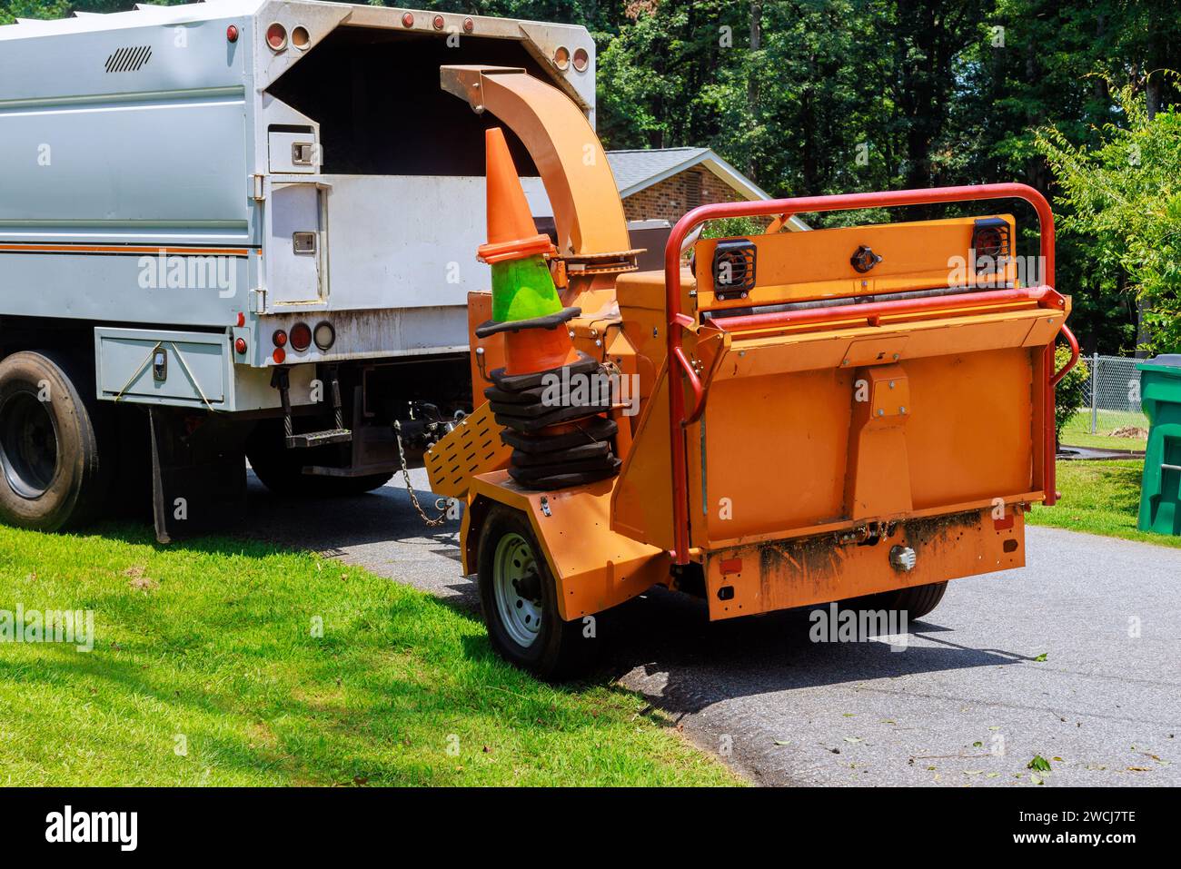 Chipped wood is released from wood chipper machine by grinding tree ...