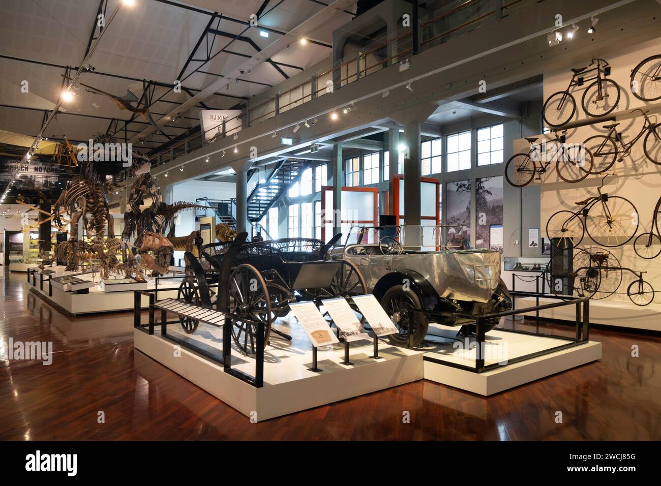 Tasmanian natural science and history displays in the Queen Victoria ...