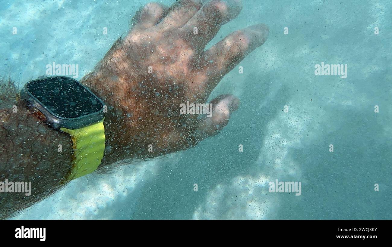 Ultimate diving companion hi-res stock photography and images - Alamy