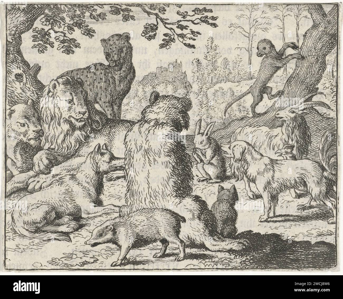 The story of reynard the fox hi-res stock photography and images - Alamy