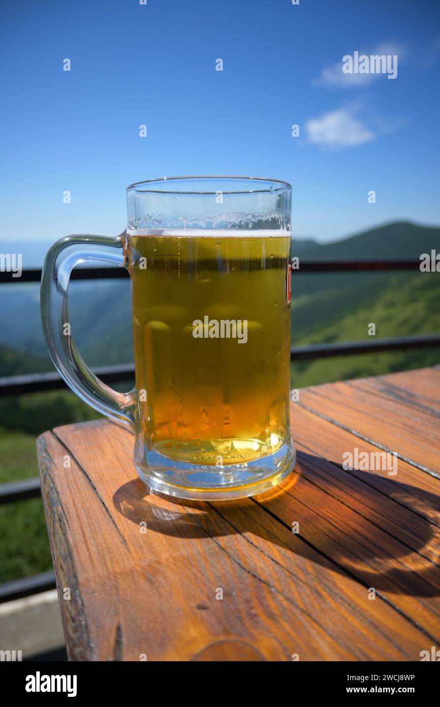Hand holding glass bottle beer alcohol hi-res stock photography and ...